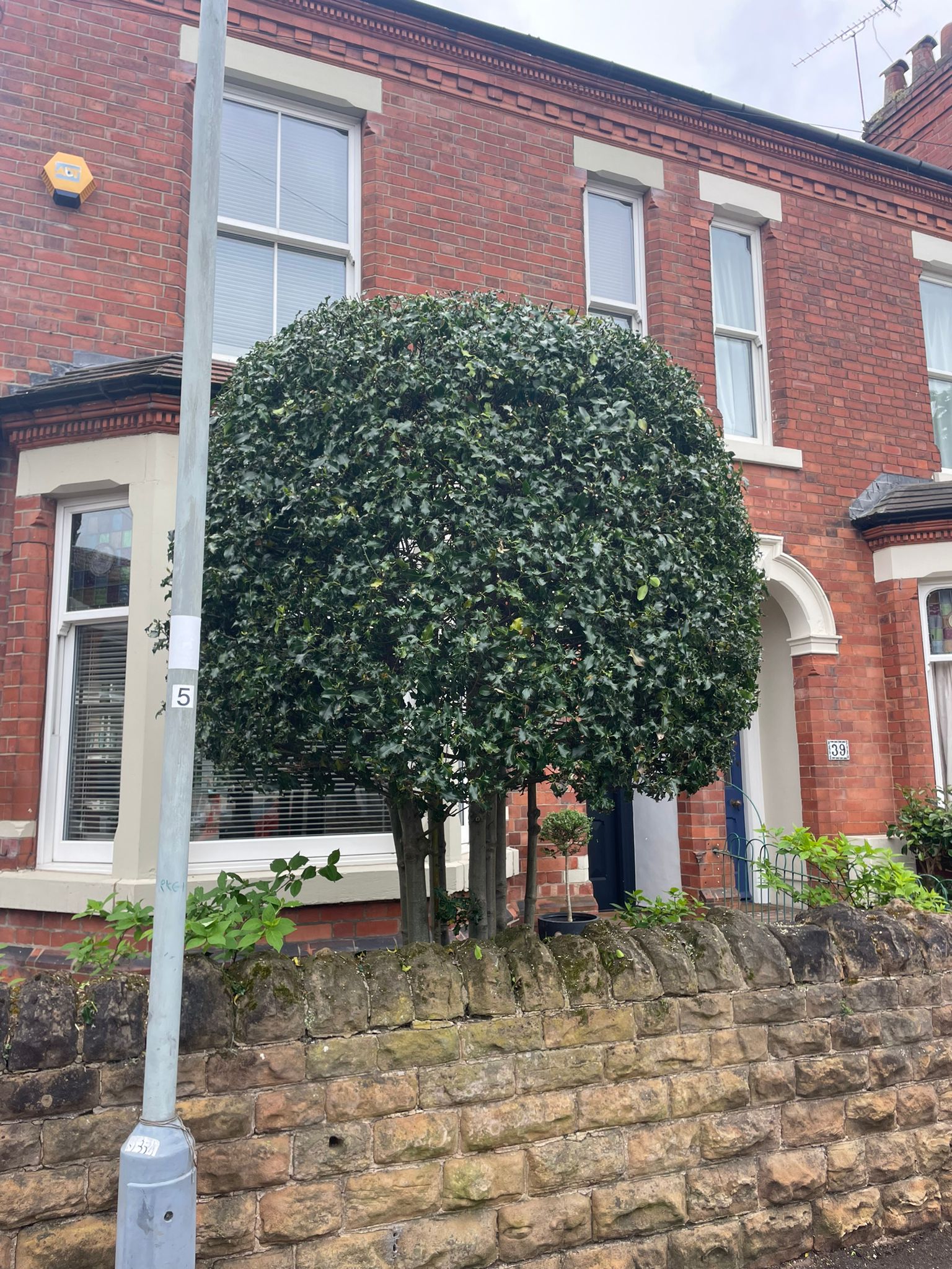Tree Maintenance Nottingham - Herring Tree Services Derby