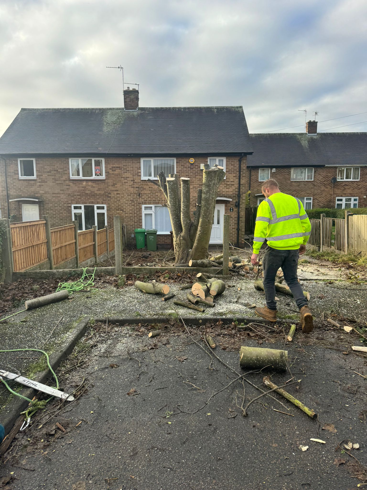 Tree Felling Nottingham - Herring Landscaping Services Derby